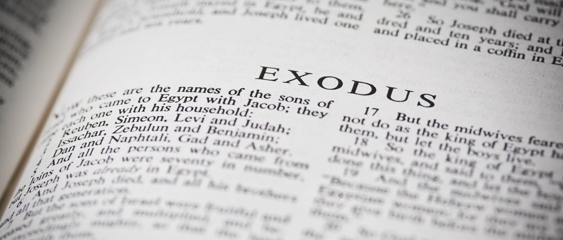 Exodus - Unveiling Understanding