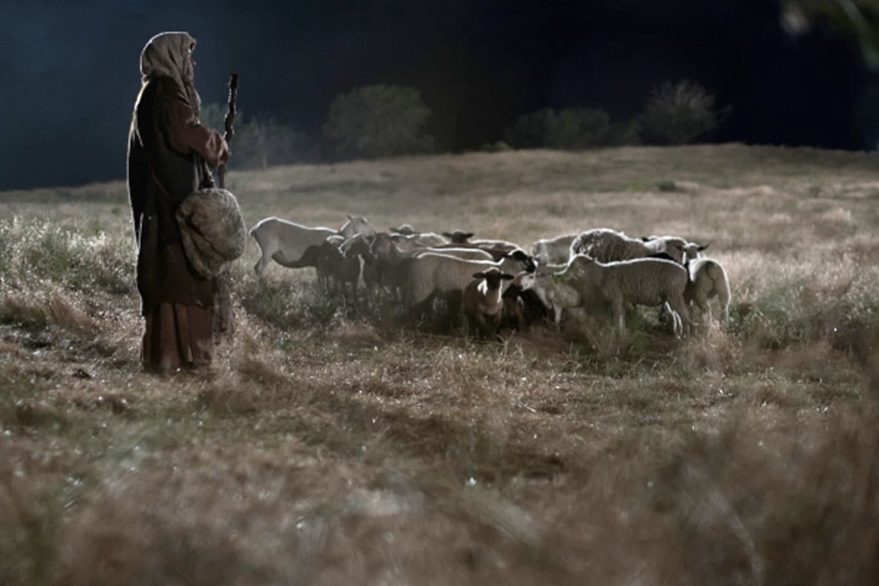 Shepherds Keeping Watch - Unveiling Understanding